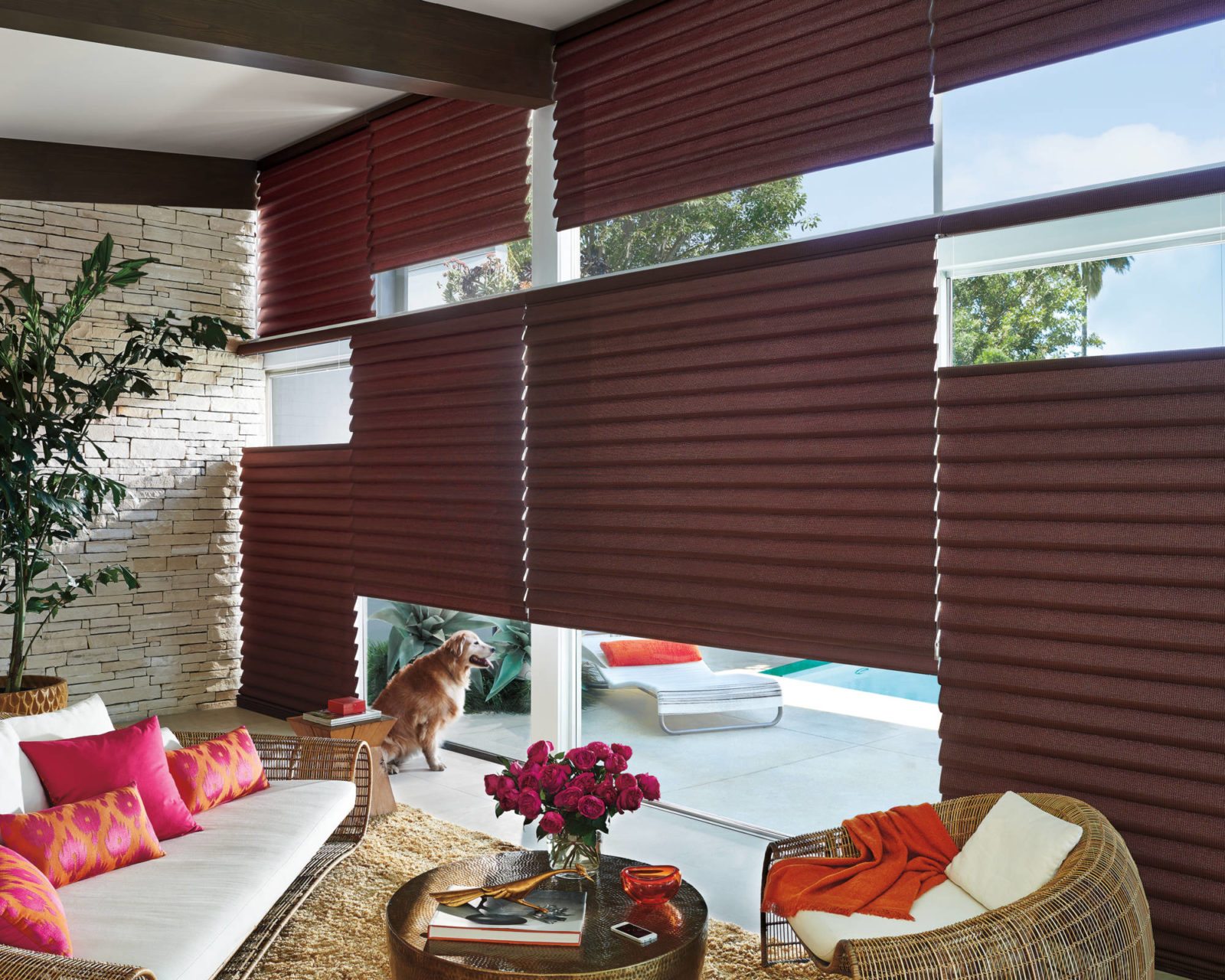Top-down/Bottom-up Window Treatments Gallery - Innovative Openings