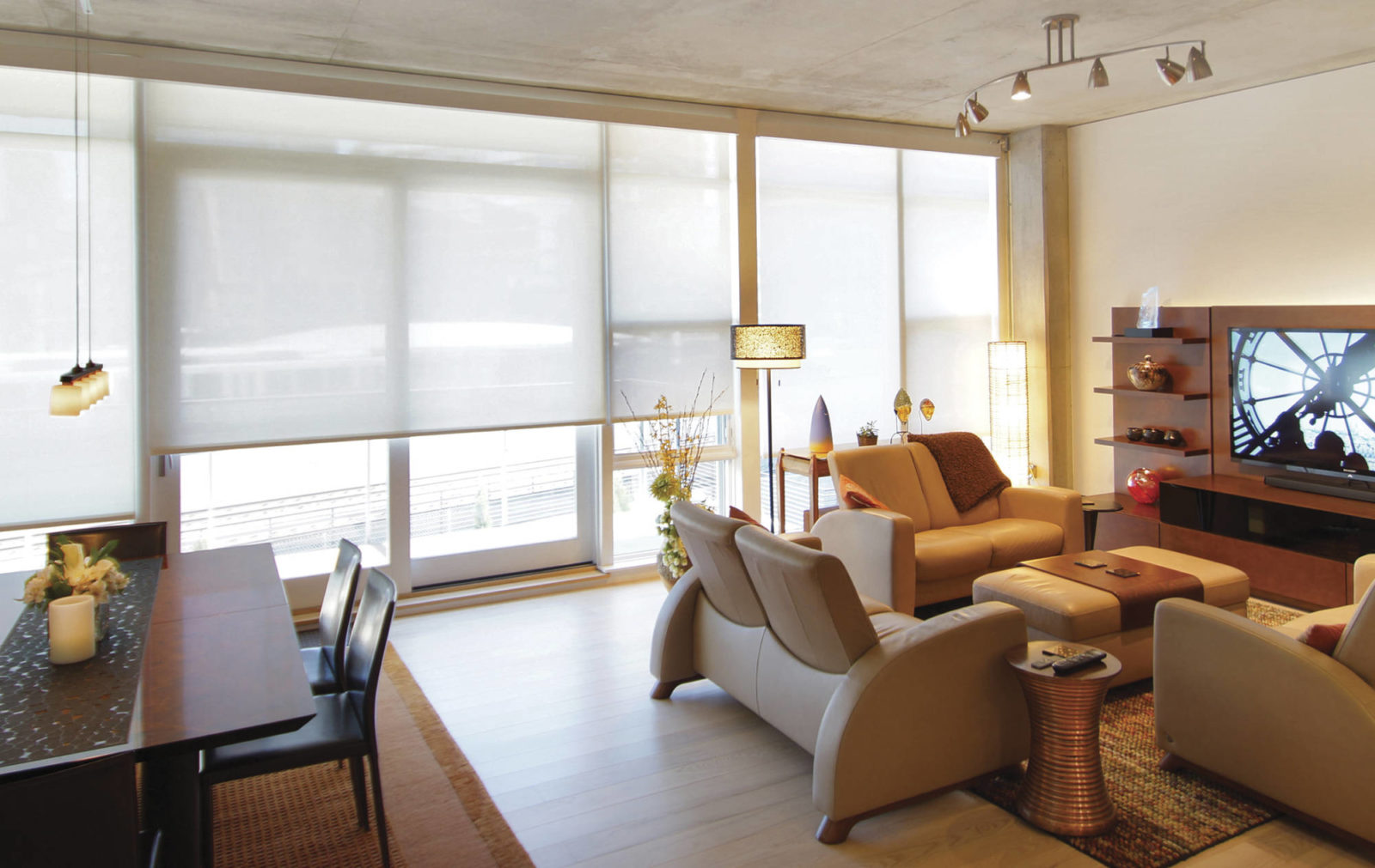 Solar Screen Shades Denver | Innovative Openings